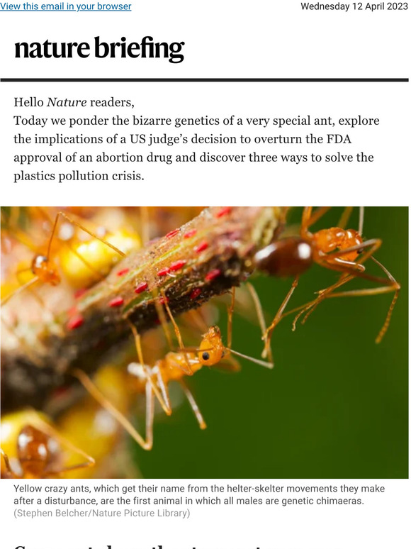 Nature: Three ways to solve the plastics pollution crisis | Milled