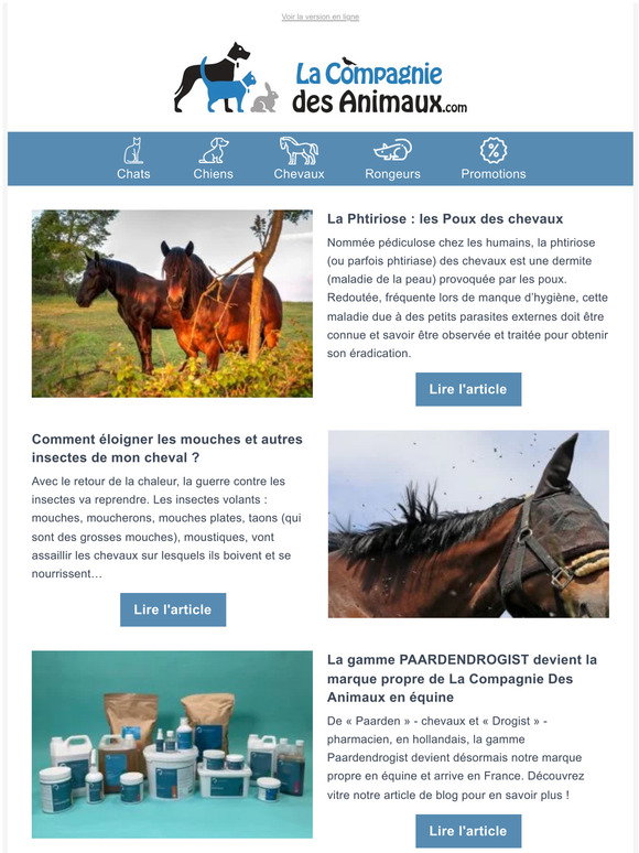 La Compagnie des Animaux: A LA UNE : La Phtiriose : les Poux des ...