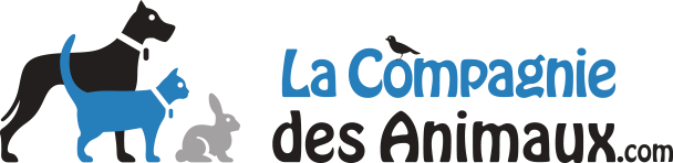 La Compagnie des Animaux: A LA UNE : La Phtiriose : les Poux des ...