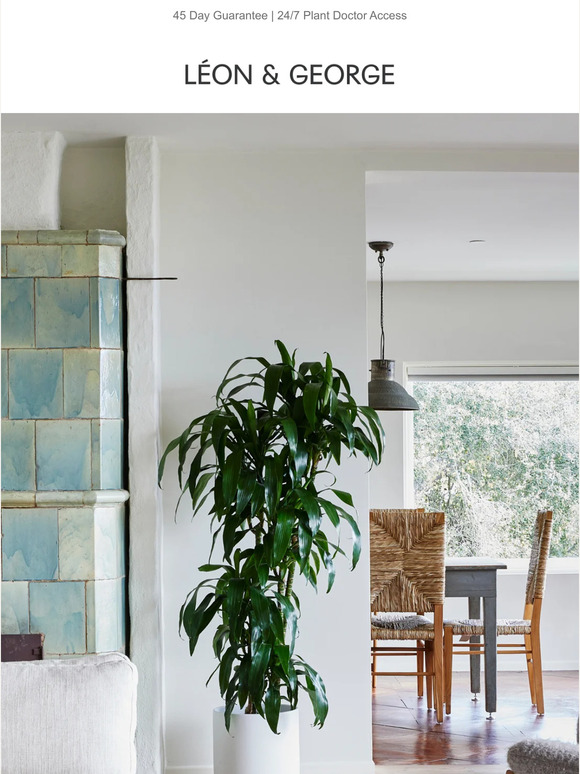 Leon & George: What's so special about Lisa? | Milled