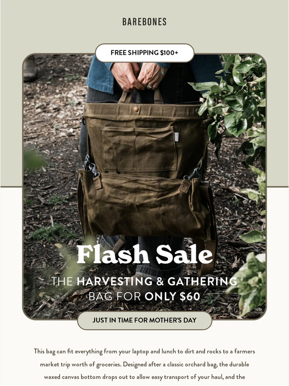 Barebones: Our Best Seller For Only $60 | Milled