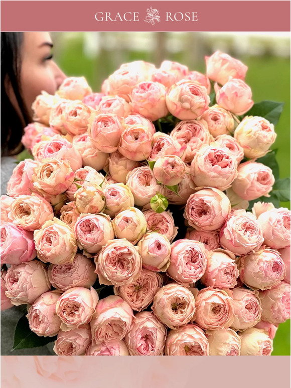 Grace Rose: Celebrate Mom in Style with Our Gorgeous Roses 🌹 | Milled