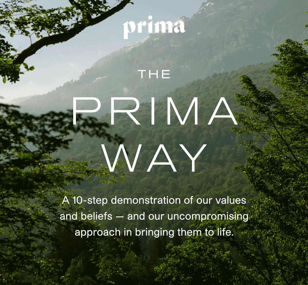 Prima: Our values, beliefs and uncompromising approach 💚 | Milled