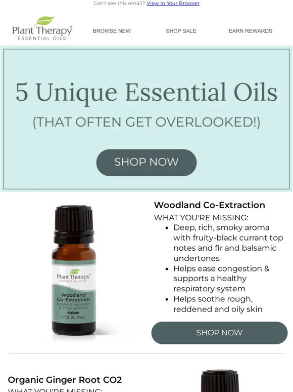 Plant Therapy: 5 Unique (and overlooked) Essential Oils 🌿 🔎 | Milled