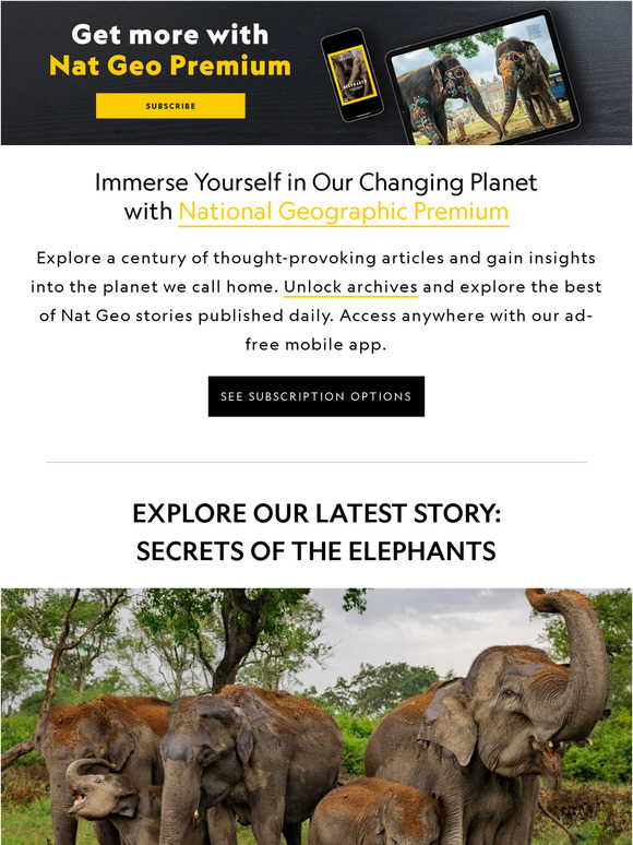 National Geographic: Explore the Secrets of Elephants this Earth Week ...