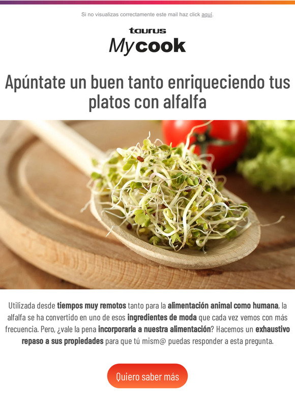 Mycook: Descubre las propiedades de la alfalfa y cómo usarla en la ...