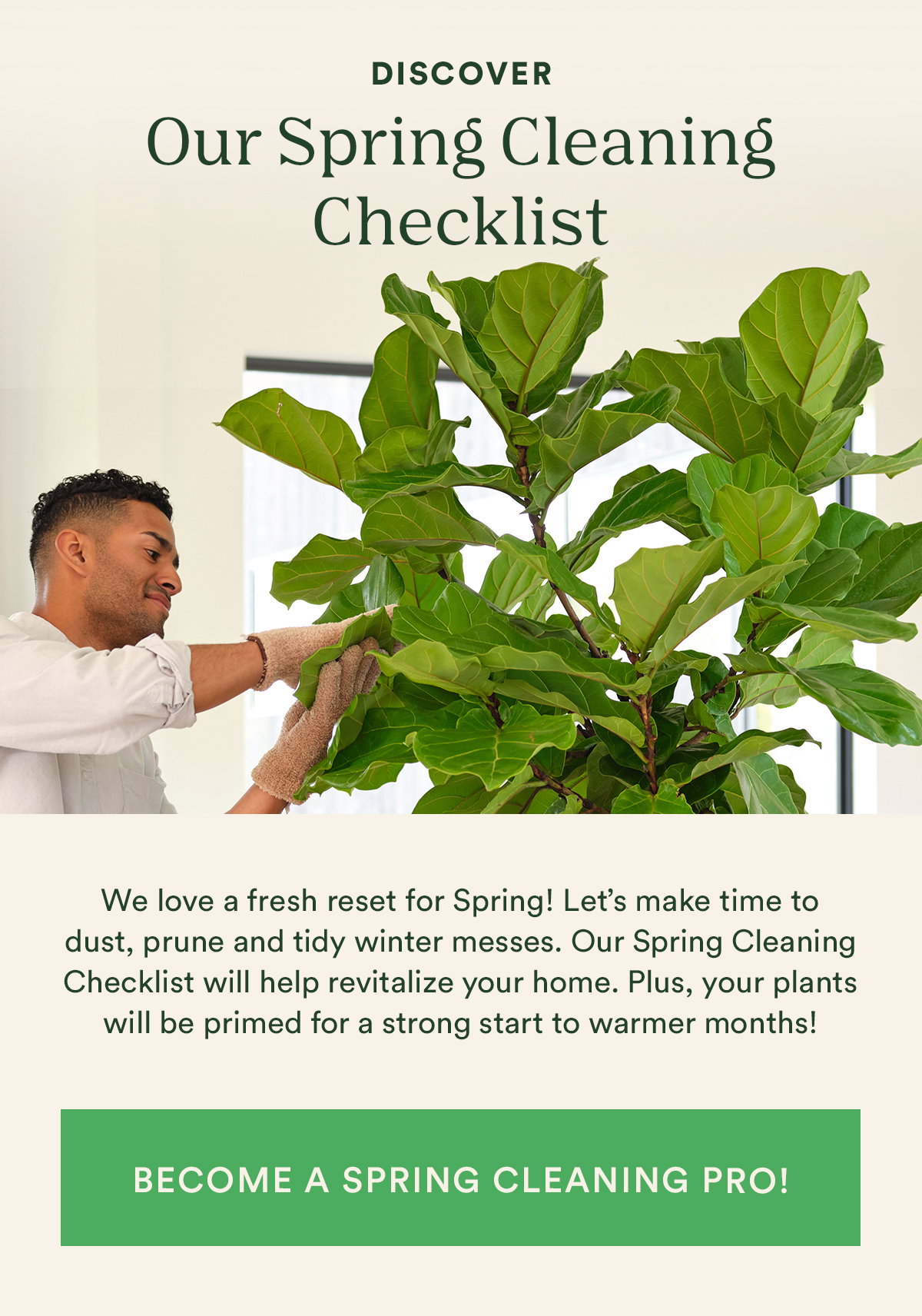 Bloomscape: Discover Our Spring Cleaning Checklist | Milled