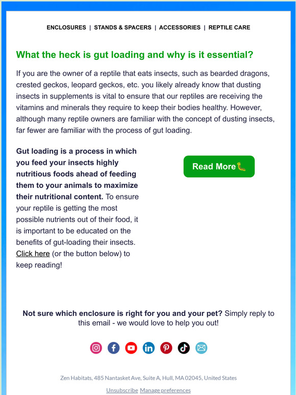 Zen Habitats: What is gut loading & why is it so important?🐛🐜🐞 | Milled