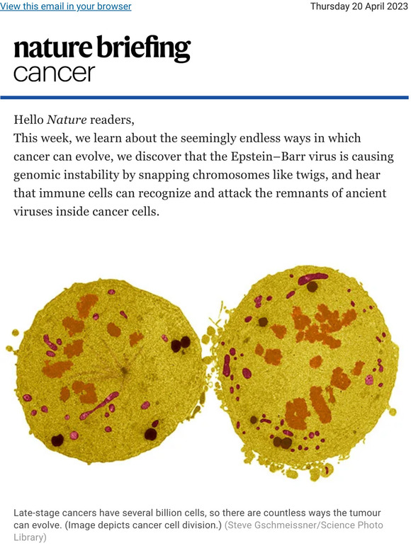 Nature: ‘Almost infinite’ ways cancer can evolve | Milled