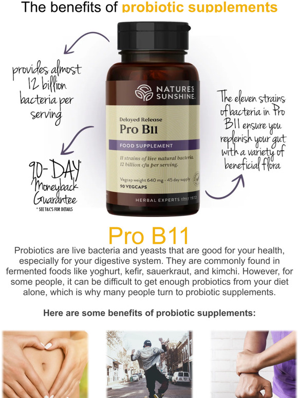 Lily & Loaf: 6 Reasons Why Probiotic Supplements Should Be Your Gut's ...