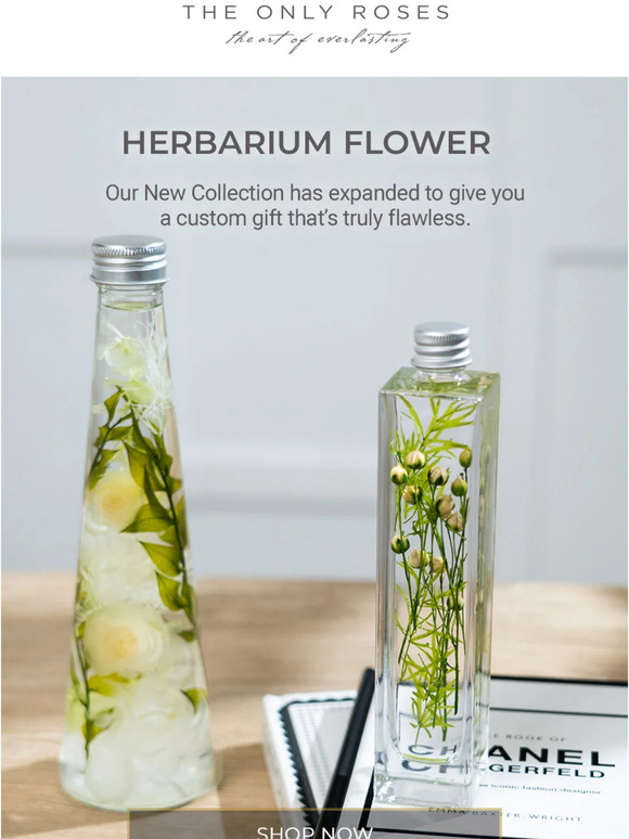 The Only Roses: See our new Herbarium Flower collection in action! 🤩 ...