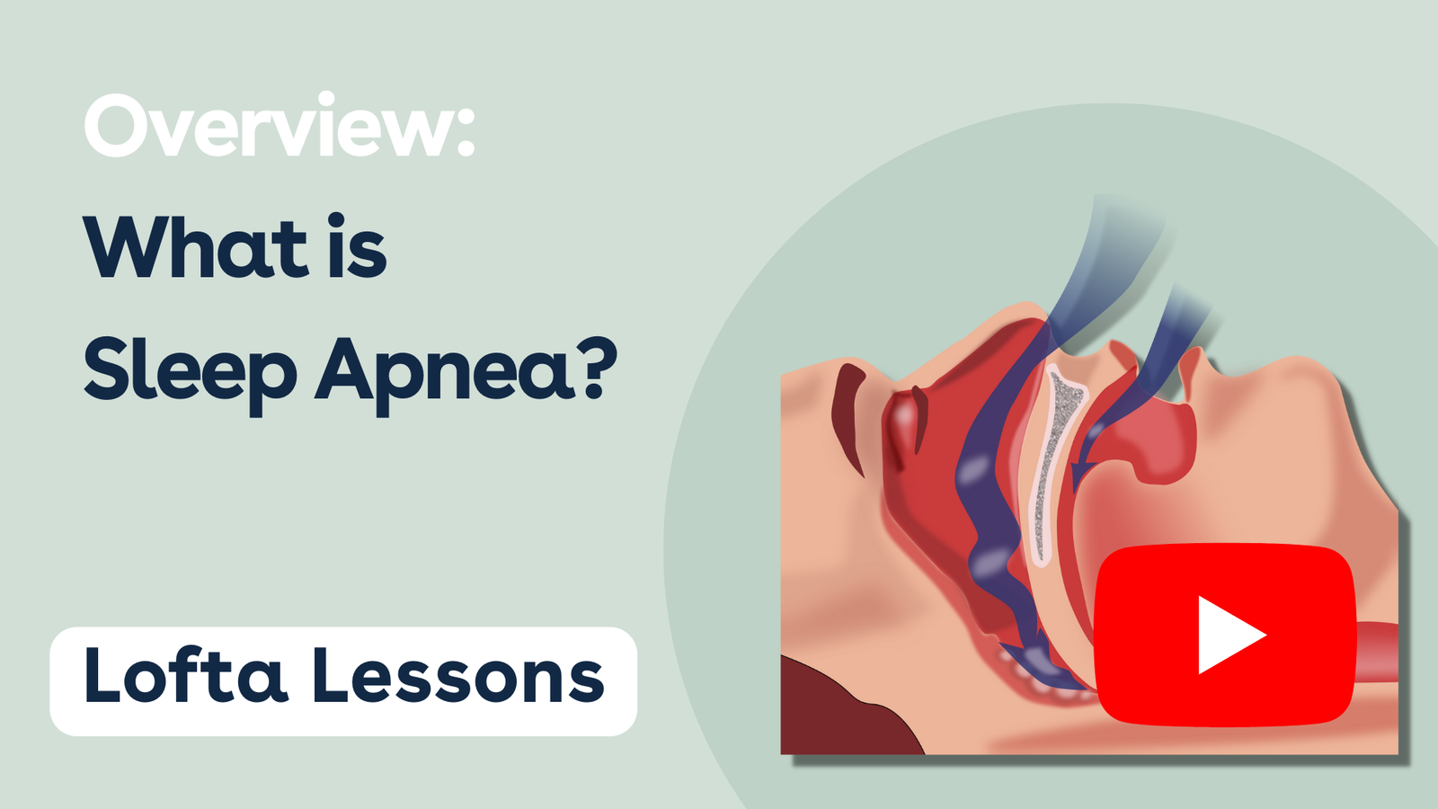 Lofta: 🛏️ Weekly CPAP Deals, News & Tips | Milled