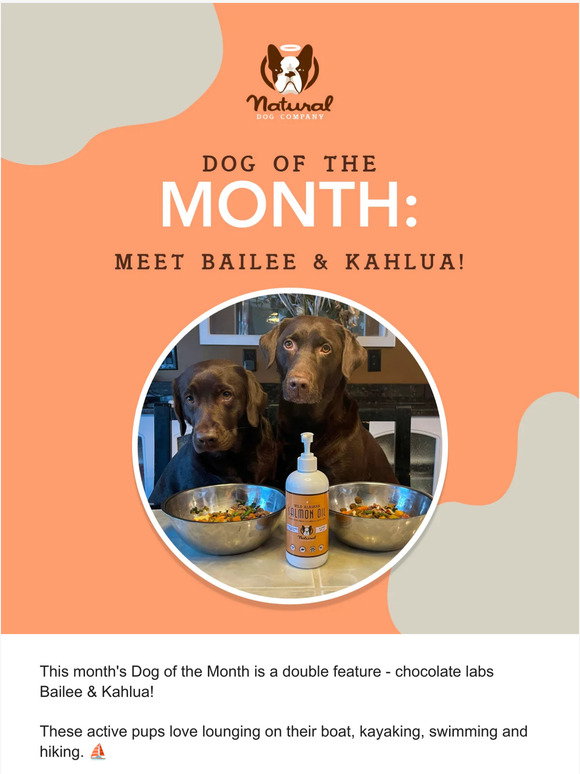 Natural Dog Company: Meet Bailee & Kahlua 🐶 | Milled