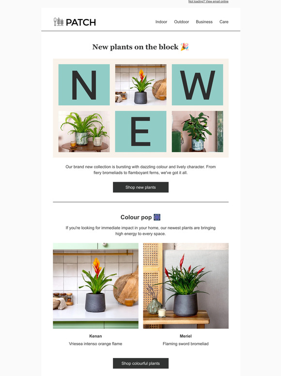 Patch Plants: New plants are here 👀 | Milled