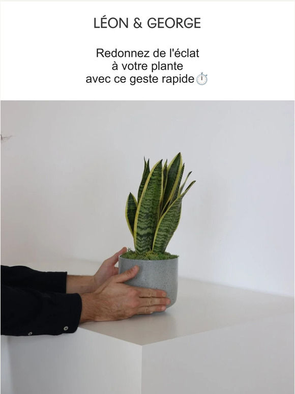 Leon & George: L'astuce flash qui fait la difference | Milled