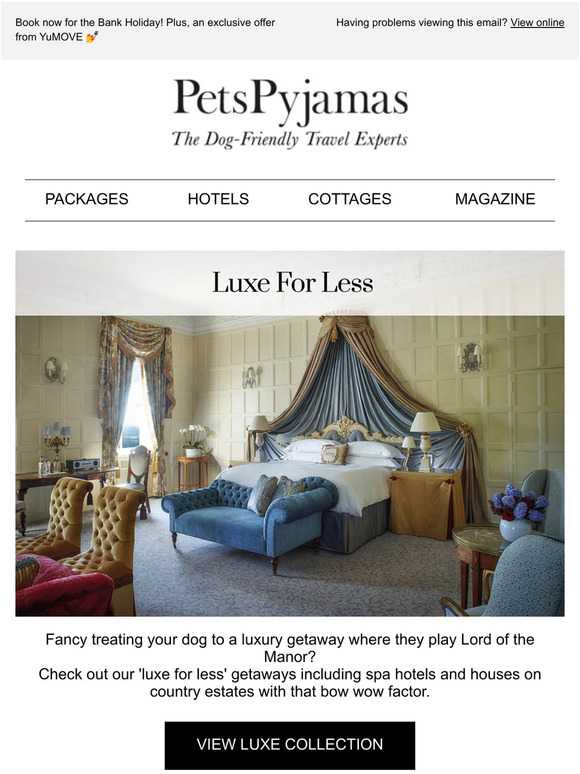 PetsPyjamas: Celebrate Spring With Our Favourite Collections 🫶 | Milled