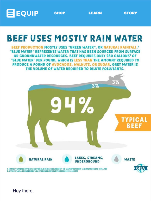 Equip Foods: Debunking Myths: The Truth About Beef & Water Usage | Milled