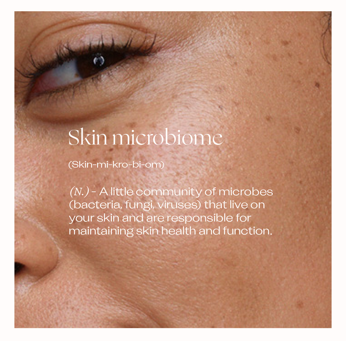 Trilogy: The power of your skin microbiome | Milled