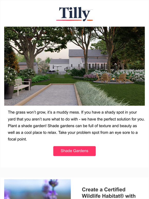 Tilly Design: Planting a Shade Garden in Your Yard | Milled
