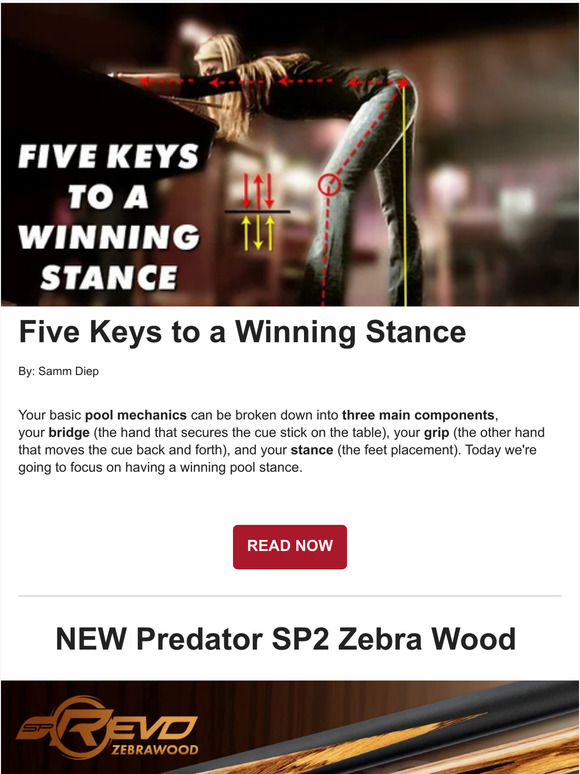 PoolDawg: "5 Keys To a Winning Pool Stance" Article by Master ...
