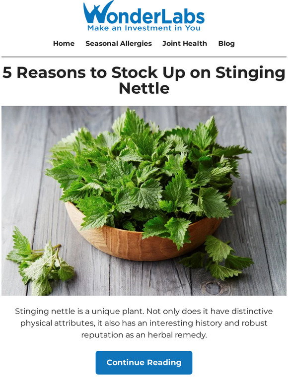 Wonder Laboratories: Learn More About Stinging Nettle and How It ...