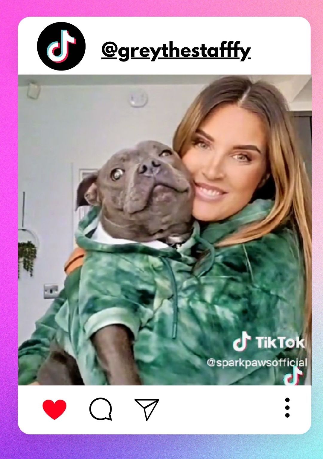 Spark Paws: Meet The Pup Models of the Month!😍 | Milled