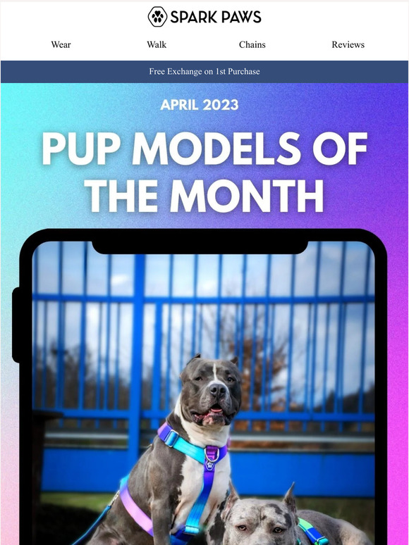 Spark Paws: Meet The Pup Models of the Month!😍 | Milled