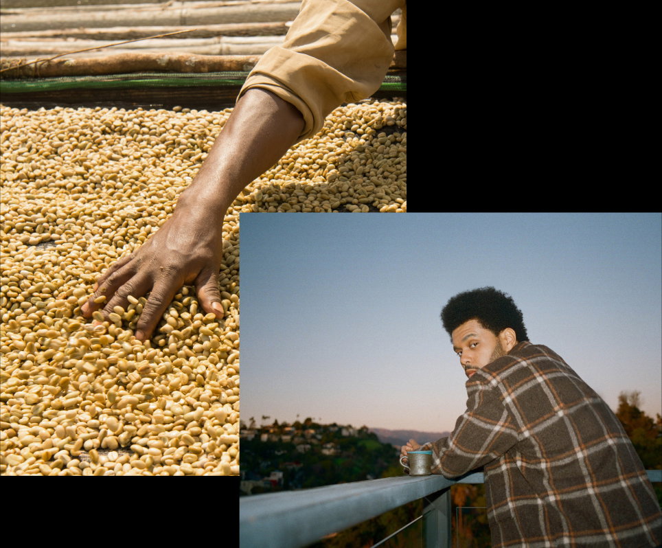 Blue Bottle Coffee: Blue Bottle x The Weeknd’s XO: Samra Origins | Milled