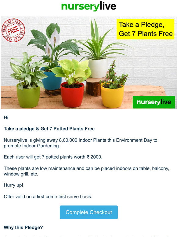 Nurserylive: 👨‍🌾🌿 Take a pledge & Get 7 Potted Plants ! Garden Lover ...