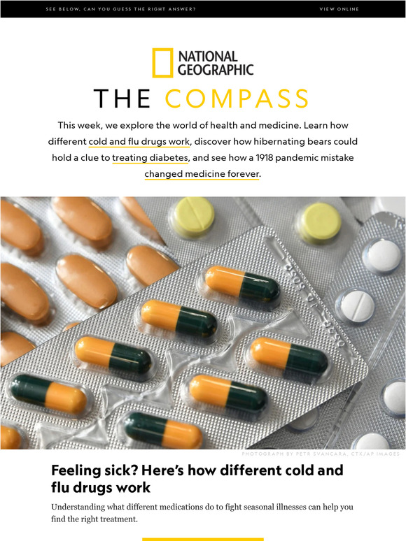 National Geographic: The Compass: How different cold and flu drugs work ...