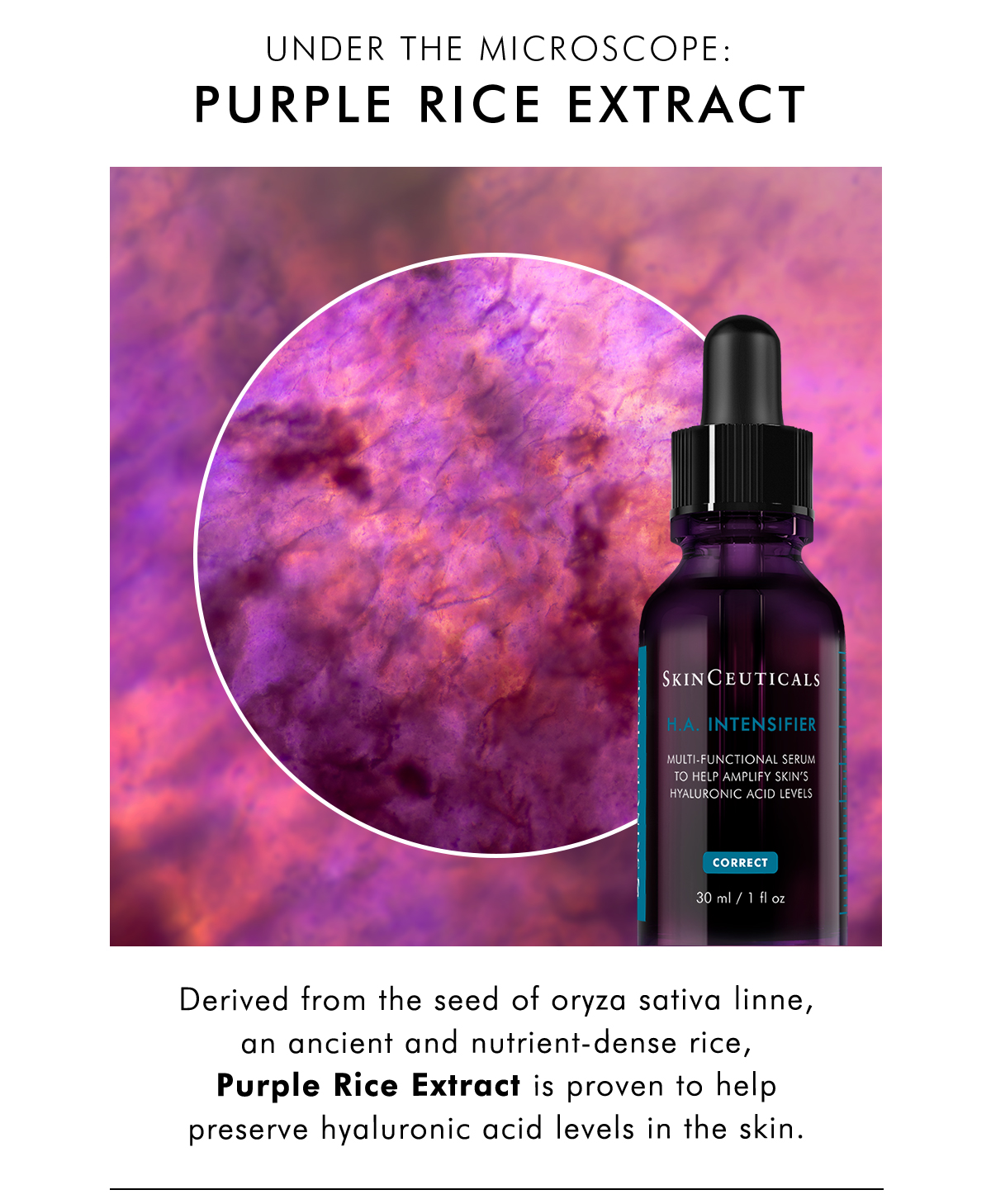 Skinceuticals: Under The Microscope: Purple Rice Extract | Milled