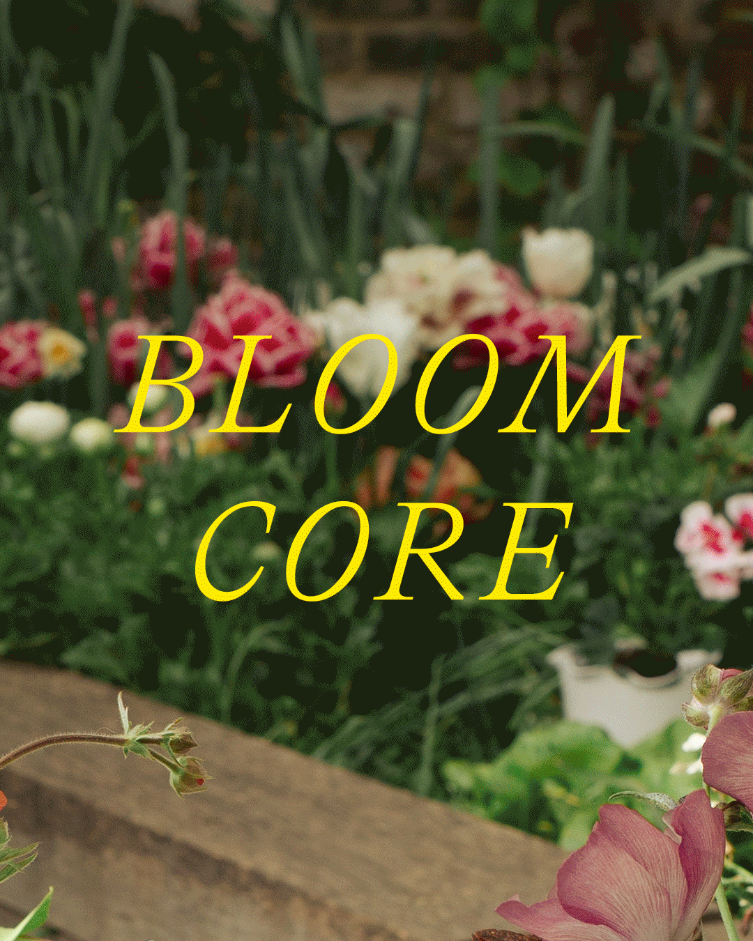 Glassette: Bloomcore: the new trend explained | Milled