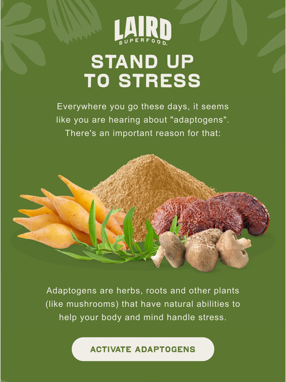 Laird Superfood: Want less stress and more balance? | Milled