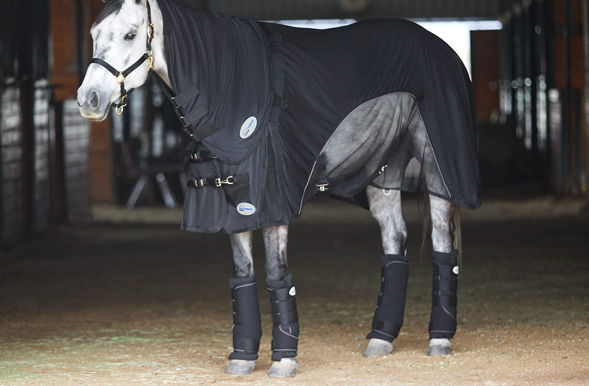 SmartPak Equine: DEAL 3: 25% OFF SmartTherapy Horse Gear | Milled