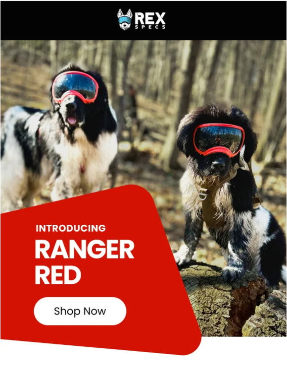 Rex Specs: Lead the Charge with Ranger Red | Milled