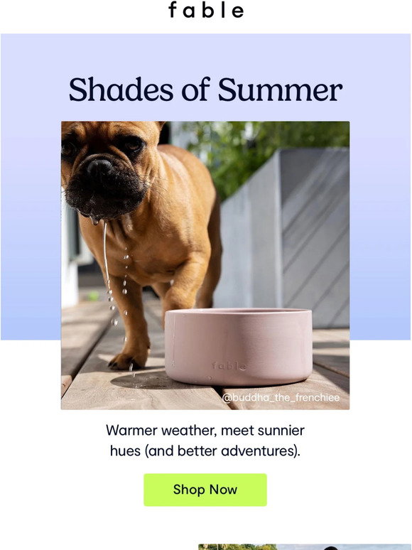 Fable Pets: Gear to match the upcoming season | Milled