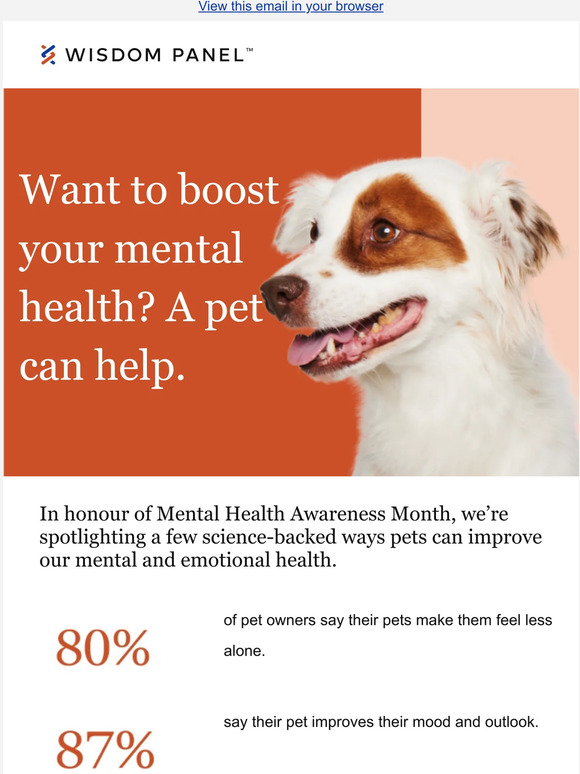 Wisdom Panel: The many mental health benefits of pets 🐶🙂 | Milled