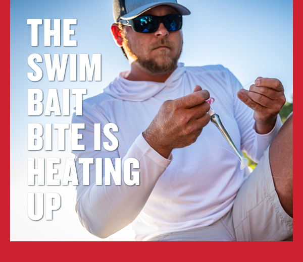 Berkley: Walleye Season Minnow Shortages! - We've Got You Covered with ...