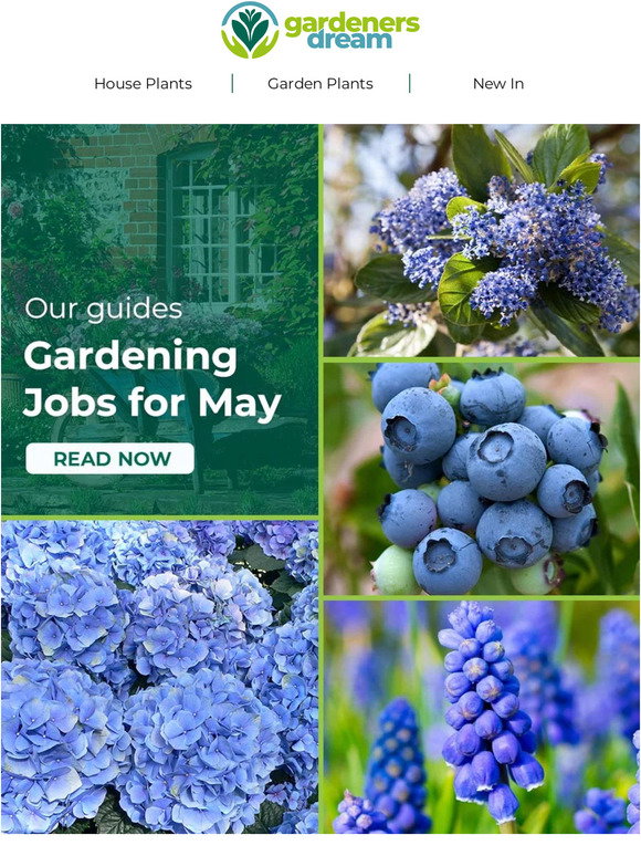 Gardeners Dream: Get your garden ready for summer 🌻 | Milled