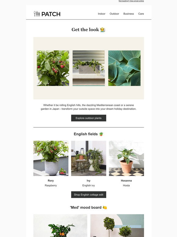 Patch Plants: How to style your outside space 💅 | Milled