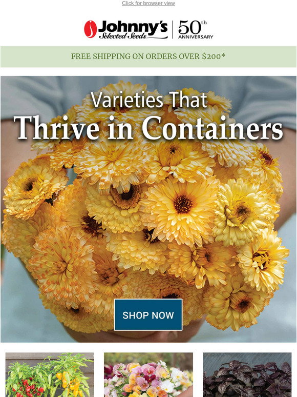 Johnny's Selected Seeds: The Most Container-Friendly Varieties | Milled