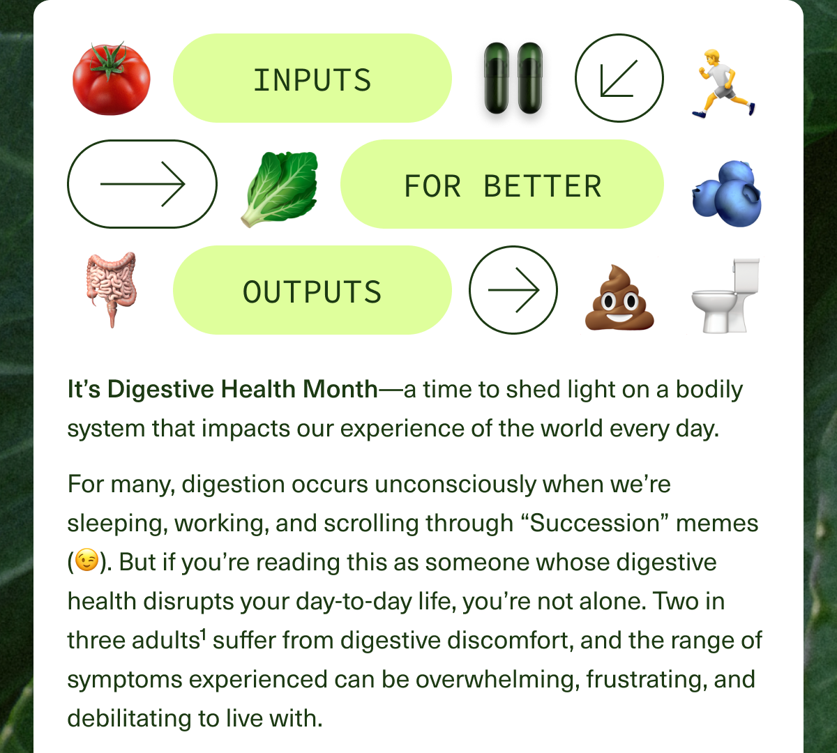 Seed: Inputs 👄 for better outputs.💩 (+ 50% off DS-01®.) | Milled