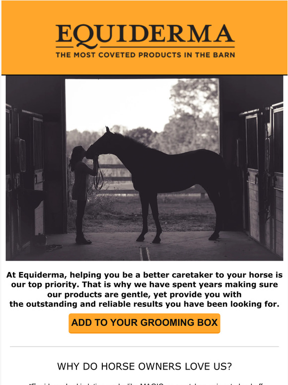 Equiderma: The best grooming options for you. | Milled