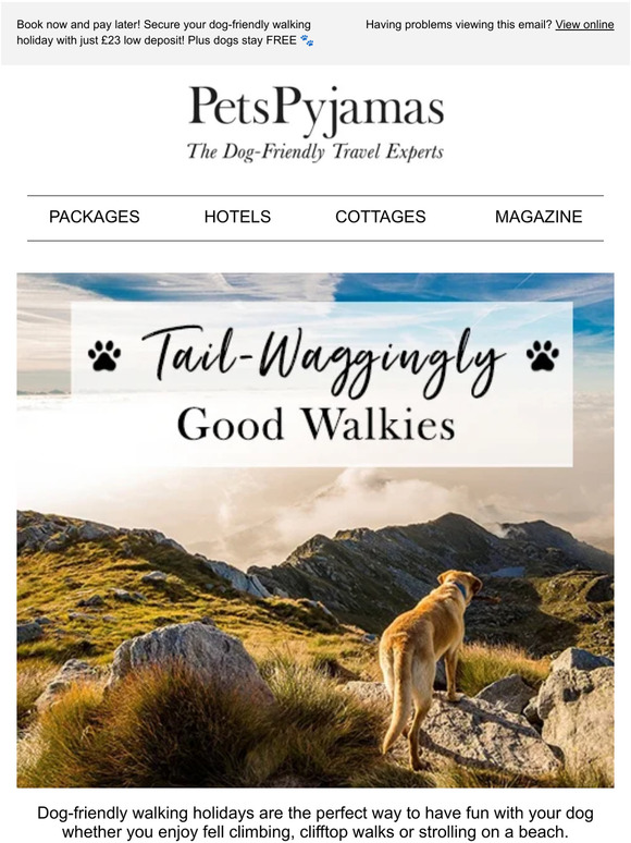 PetsPyjamas: Best For Walkies All Over The UK 👟🐕 | Milled