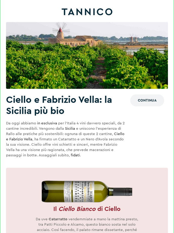 Tannico: 4 vini bio siciliani: scopri Ciello e Fabrizio Vella in ...