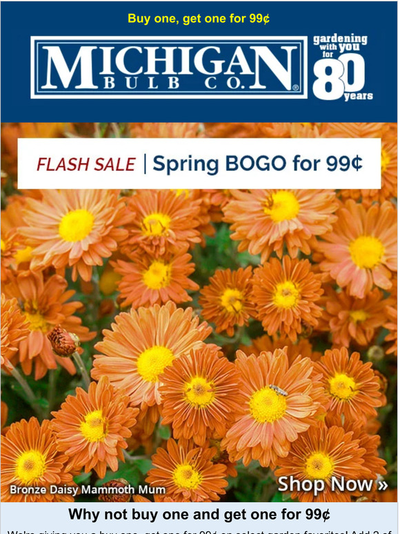 Michigan Bulb: Flash Sale: Spring BOGO starts now! | Milled