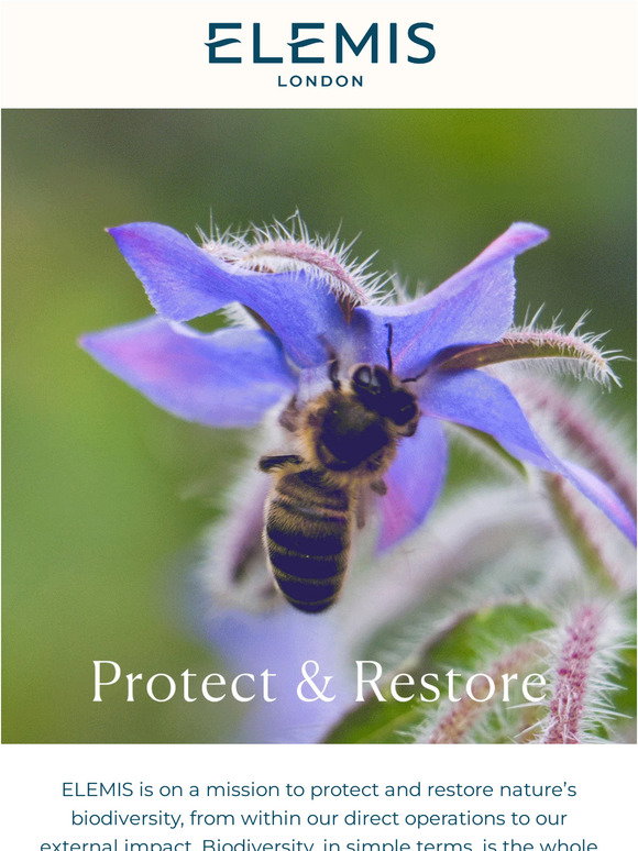 Elemis: What We’re Doing to Improve Biodiversity 🌍 | Milled