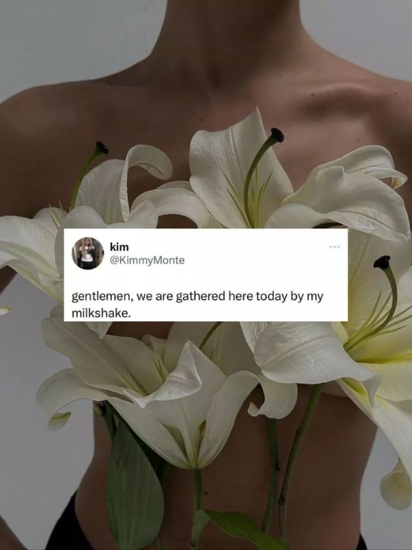 Empress Mimi: Embrace Mondays with a Empress Memes! 🥳 | Milled