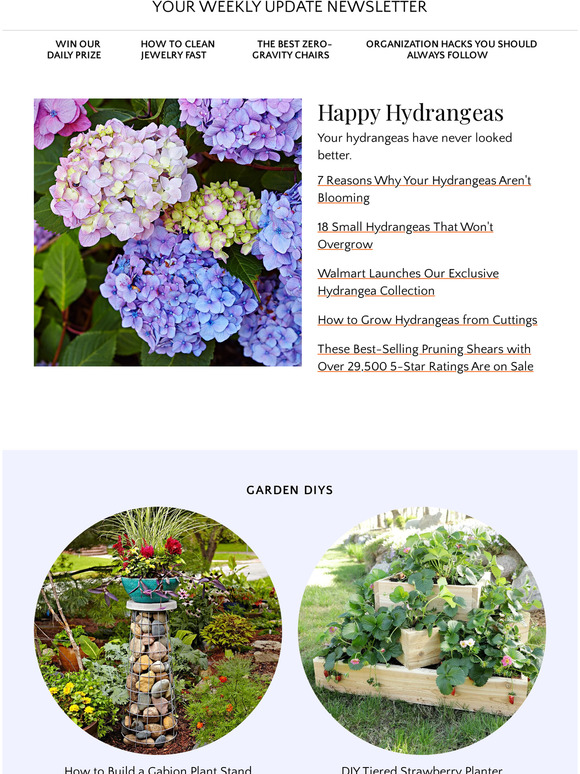 Better Homes and Gardens: 🌸 7 Reasons Why Your Hydrangeas Aren't ...