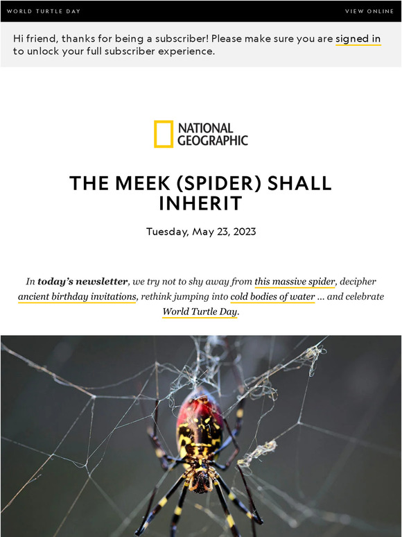 National Geographic: These big spiders invading the U.S. have a secret ...